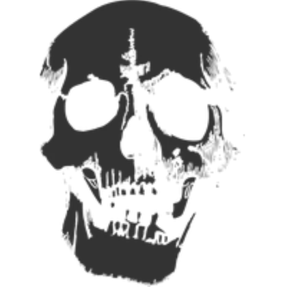 skull