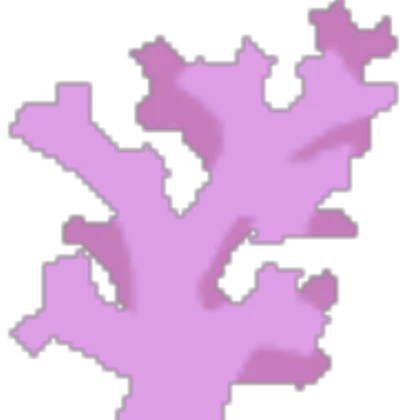 pink bush