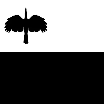Corvus Flag