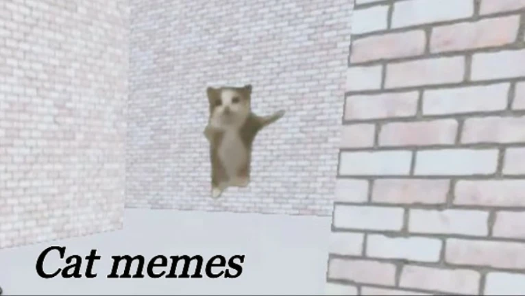 The cat memes rooms - Roblox