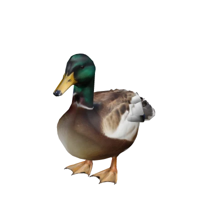 Cute Duck Suit | Roblox Item - Rolimon's