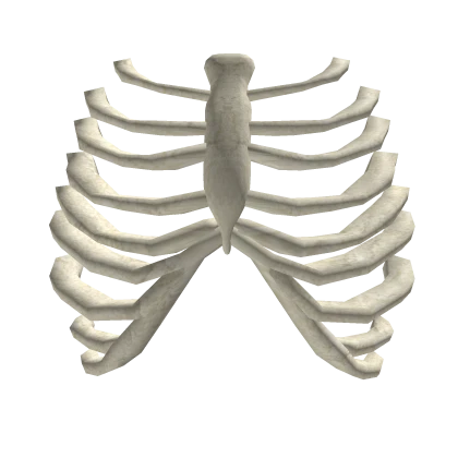 Rib Cage | Roblox Item - Rolimon's