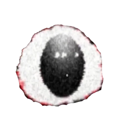 Doors Seek S Eye