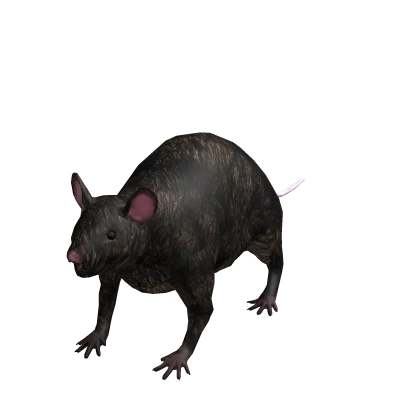 Giant mouse rat | Roblox Item - Rolimon's