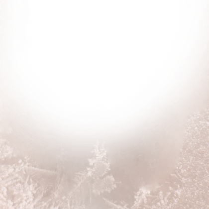 Dust