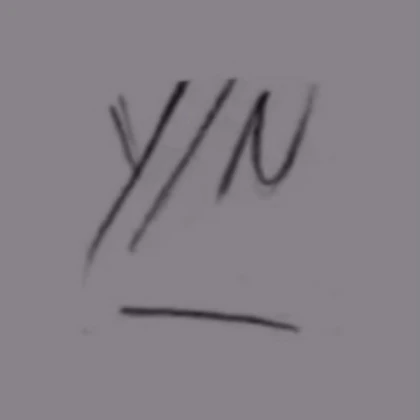 Y/N face texture lol