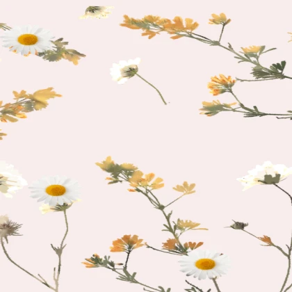 [IKO] flower wall paper