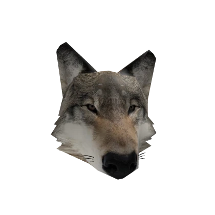 realistic wolf head