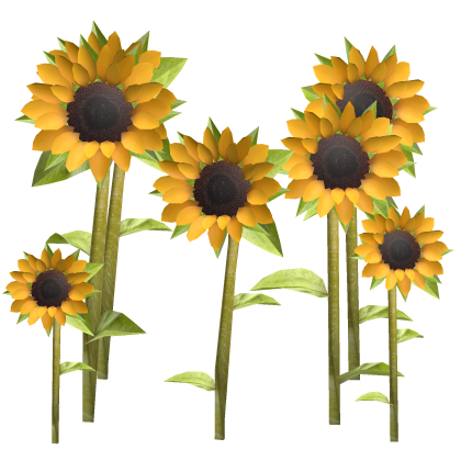 Sunflower Field Roblox