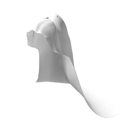 Transparent White Veil | Roblox Item - Rolimon's