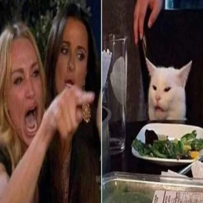 Salad cat meme