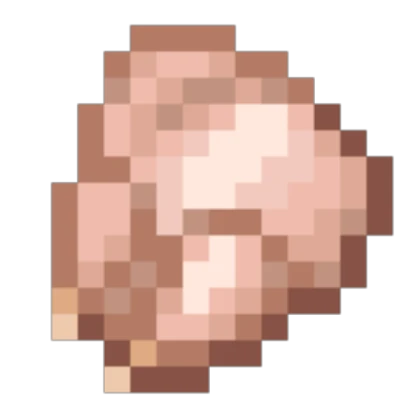Raw Chicken Minecraft