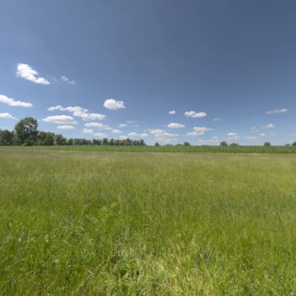 Xem Trước Tài Sản