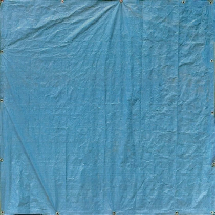 Tarp