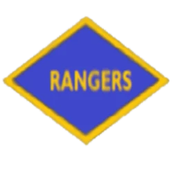 5th Ranger Battalion Shoulder Sleeve patch