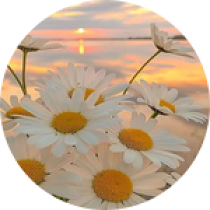 50 RBX Pass - Roblox