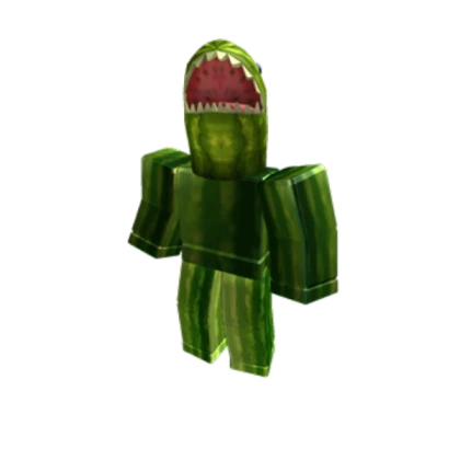 Watermelon_Outfit