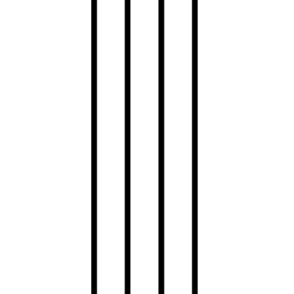 White and Black Racing stripes