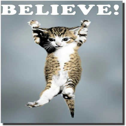 believe cat poster