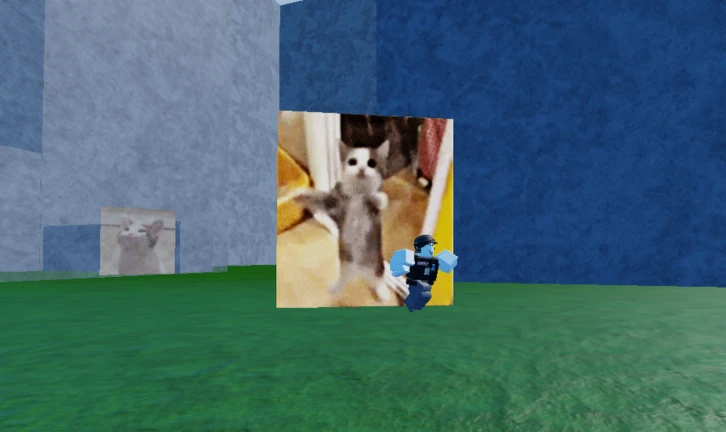 ¡Escapa de los Memes de Gato! - Roblox