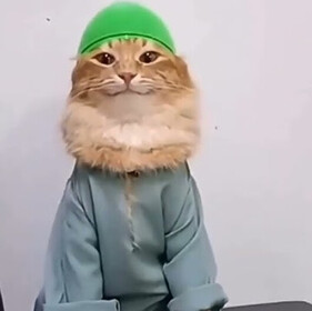 Tob Tob Tob Tob Tob Tob Tob Tob Tob Tob - Roblox