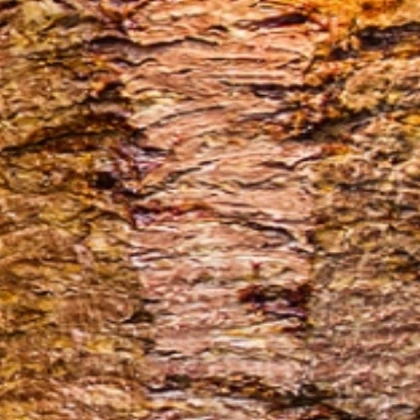 meat