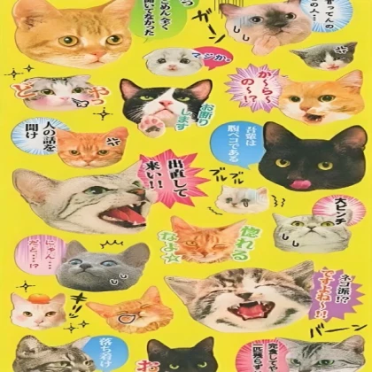 Royale high rh Top pattern kat cat kitty