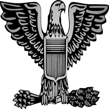 US Navy Captain Insignia