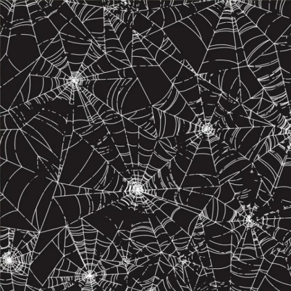 spider web pattern