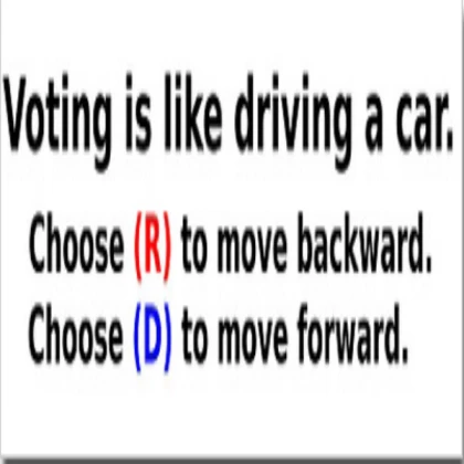 Political Bumper Sticker