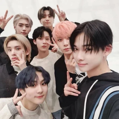 OT7 PICTURE ENHYPEN