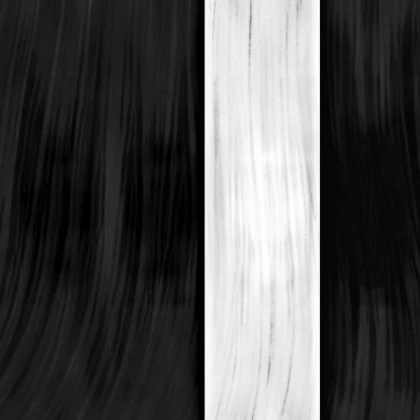 Cruella De Vil Black and White Hair Texture 🦨