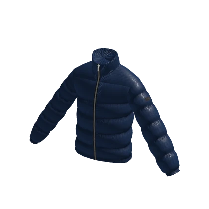 Dior Blue Jacket | Roblox Item - Rolimon's