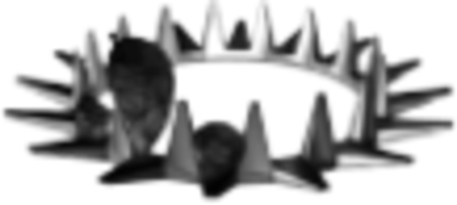 The Void Star - Roblox