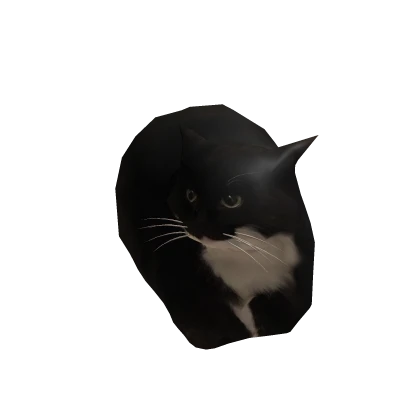 Mini Maxwell Cat | Roblox Item - Rolimon's