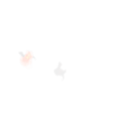 fire particle (effects)