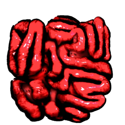 Ground Beef