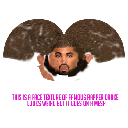 DRAKE HEAD TEXTURE MESH