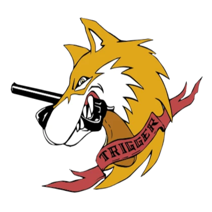 Trigger Personal Emblem Ace Combat