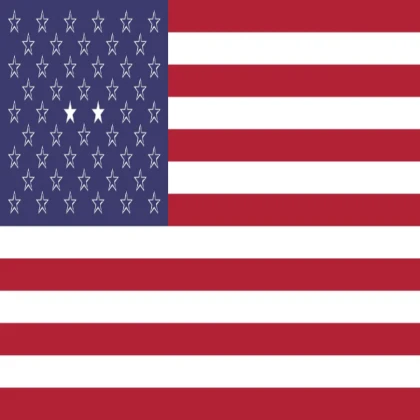 Handmaid's tale USA flag