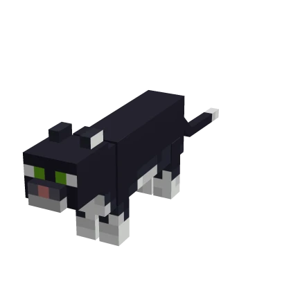 invisible cat code brookhaven