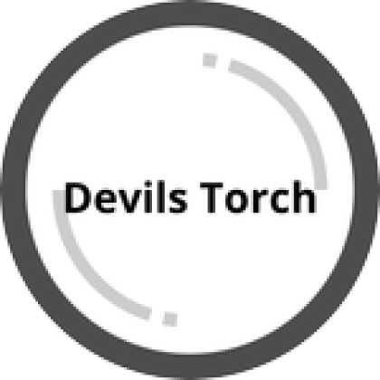 Devils Torch - Roblox