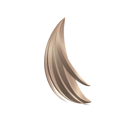 Fringe de pelo - Roblox