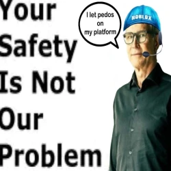 David Baszucki Your safety is not our problem