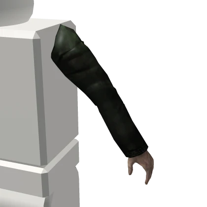 James Sunderland - Left Arm | Roblox Item - Rolimon's