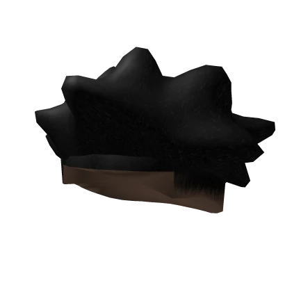 Hair 5 | Roblox Item - Rolimon's
