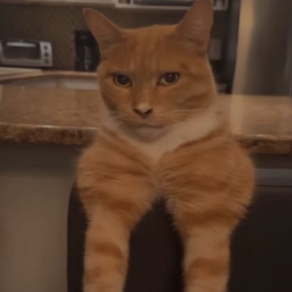 Máscara de Gato Mewing Sigma pfp - Roblox