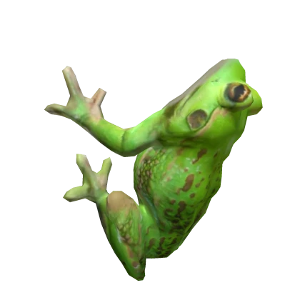 FROG ON YOUR BACK | Roblox Item - Rolimon's