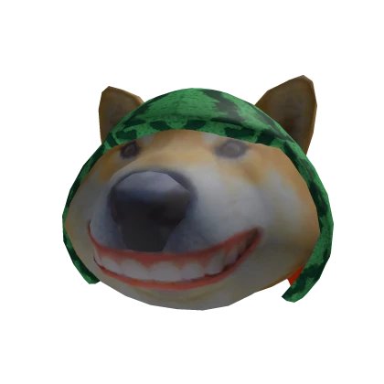 melon dogecoin