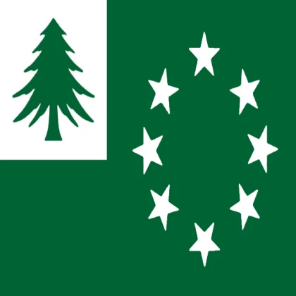 New England flag 8